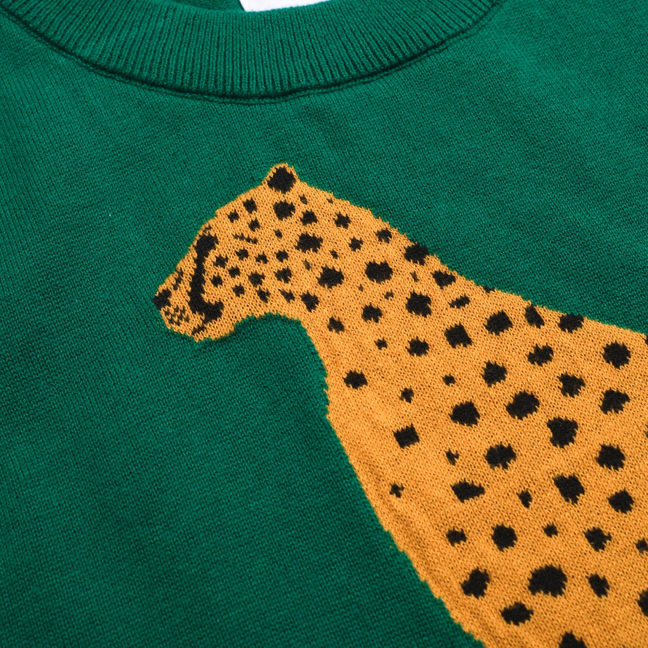 Women’s Green Leopard Print Knit Set with Cheetah Graphic – Crop Top ...